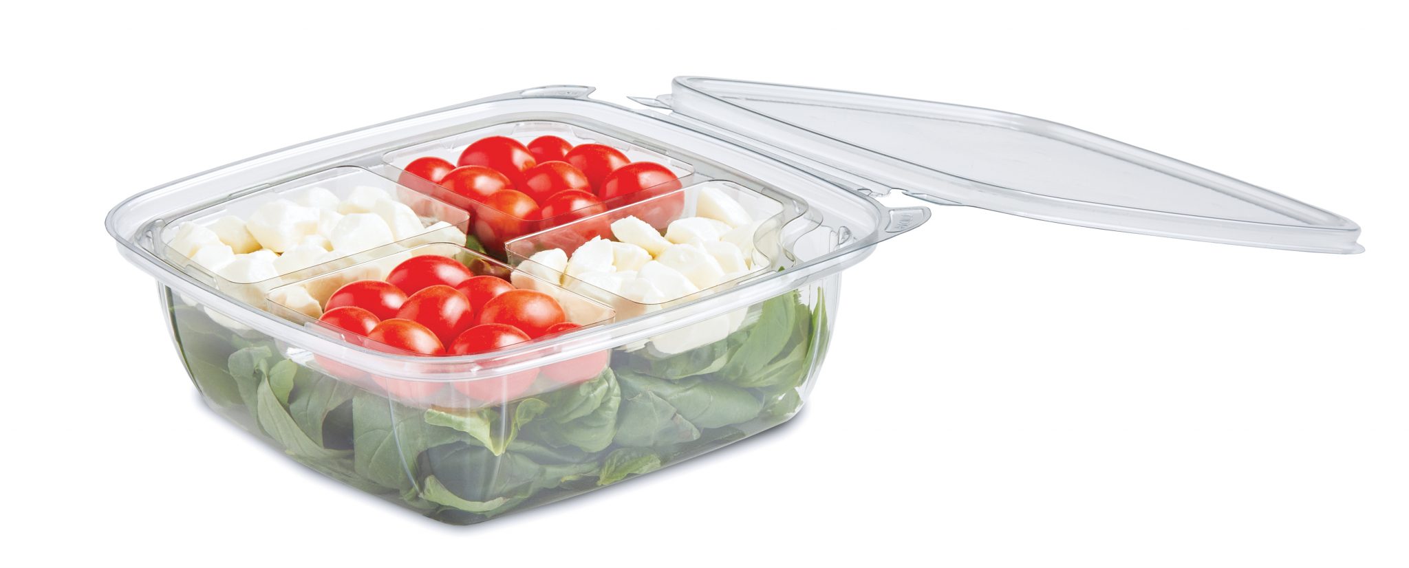 Placon : Flexible vs. Rigid Plastic